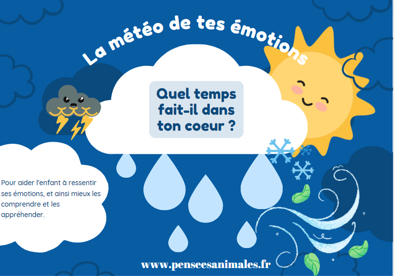 Méditation pour enfant – La météo des émotions – Pensées Animales